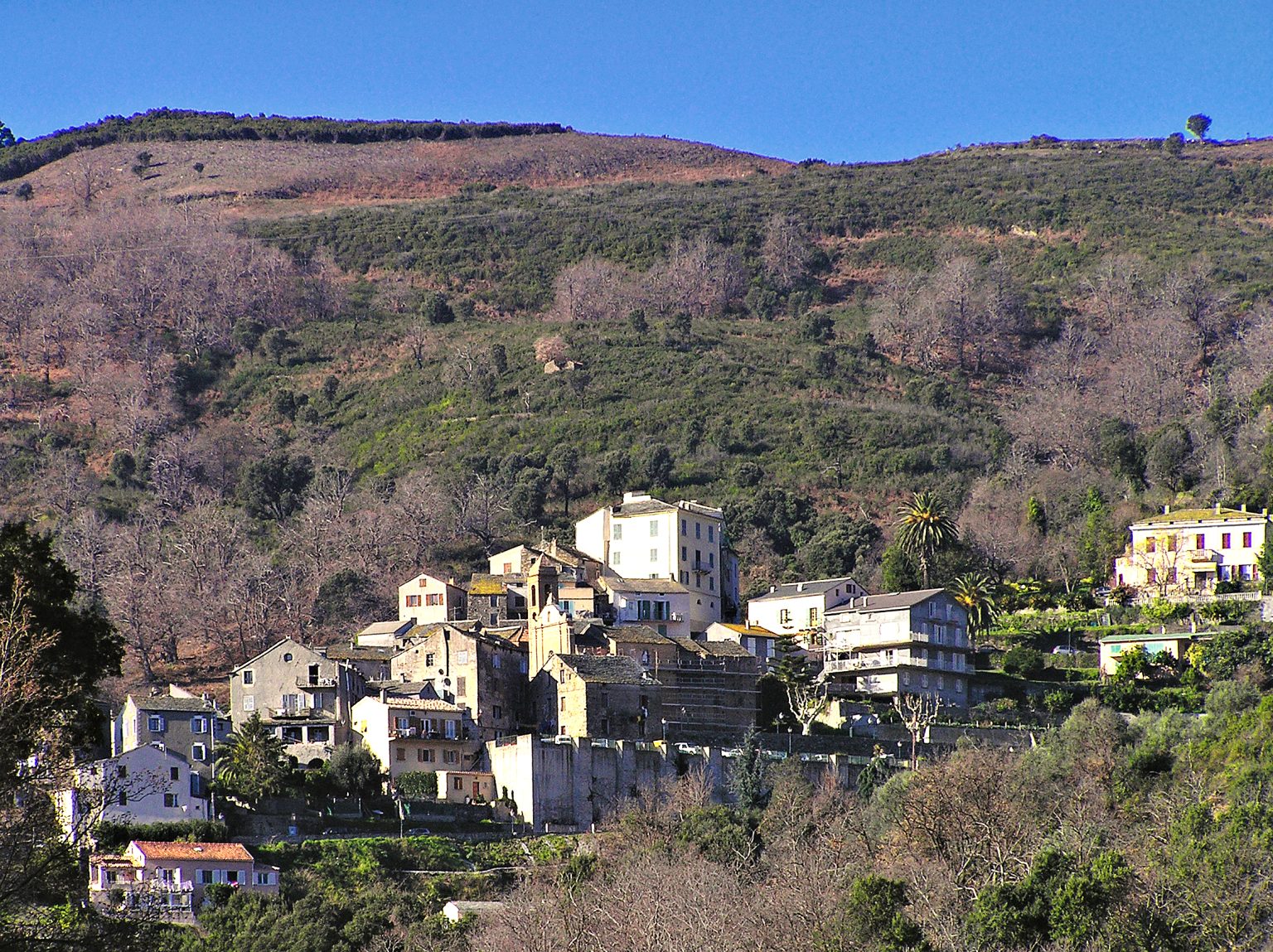 Horaire des messes en Lucciana (Département de la Haute-Corse)